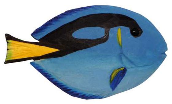 Magnet Paletten-Doktorfisch 8 cm Nr. 4280 | Händlershop Spangler ...